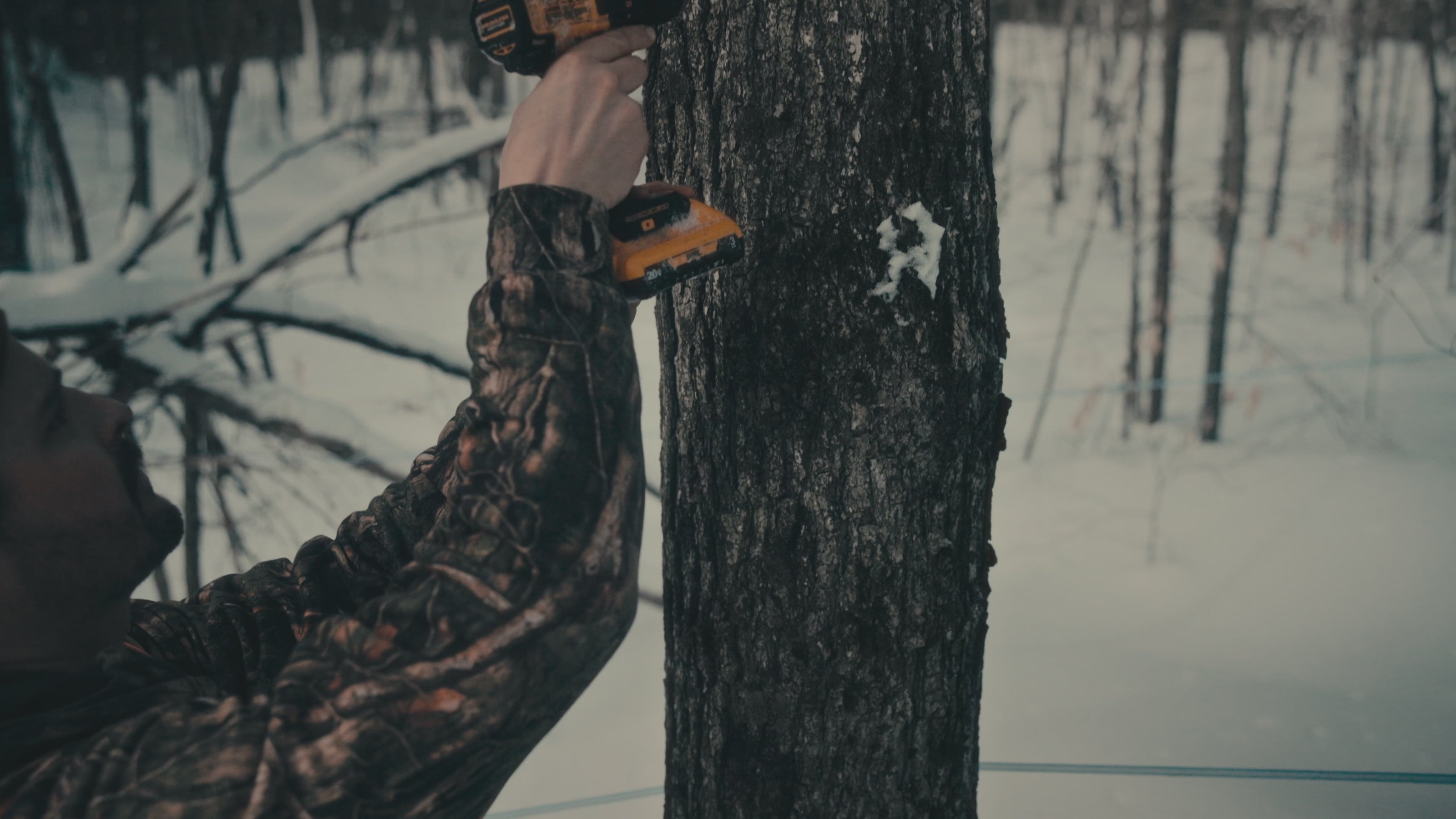 Organic Maple Syrup Tapped In South Algonquin | Carrick Bros.
